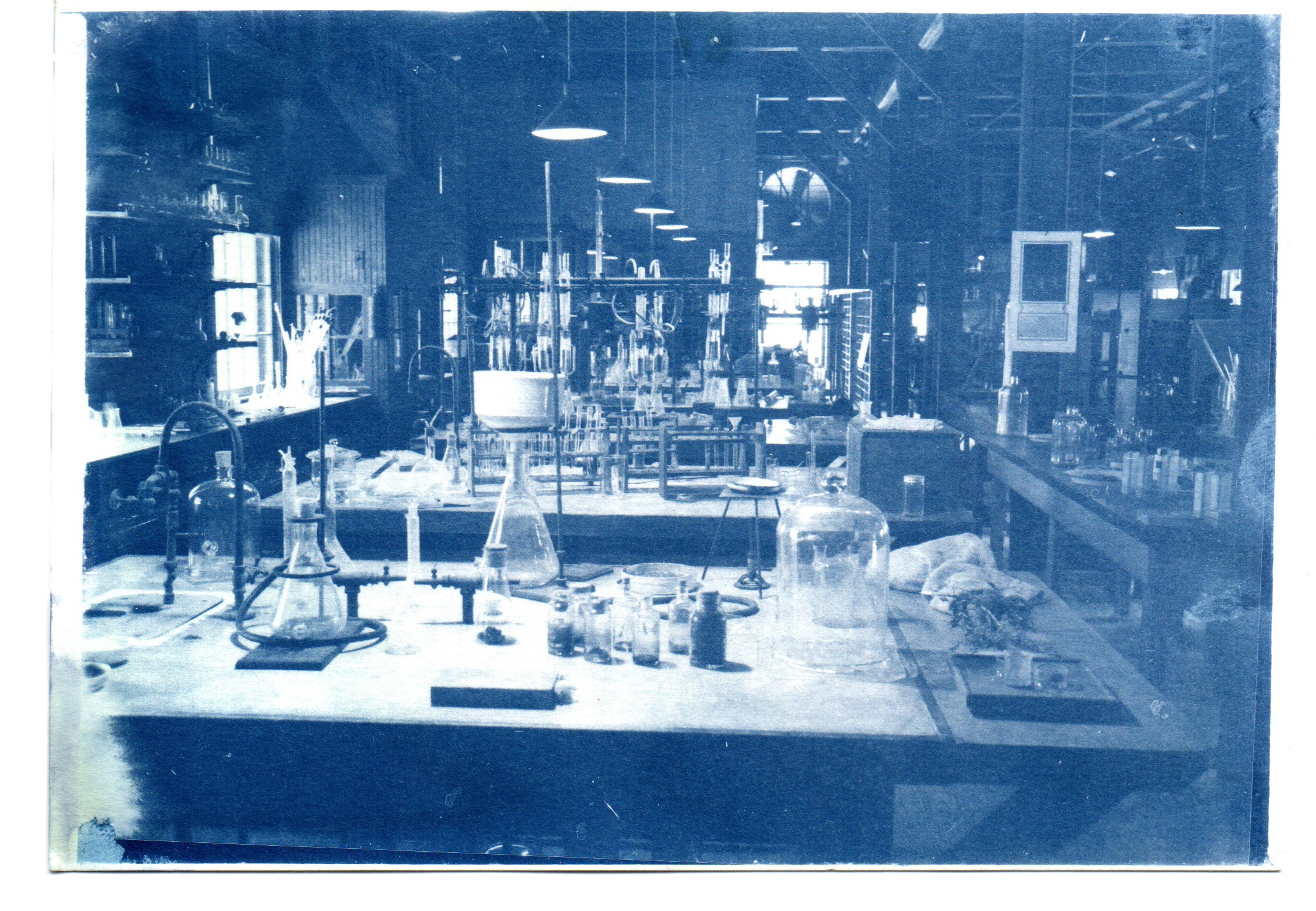 Cyanotypes | The Vintage Lens