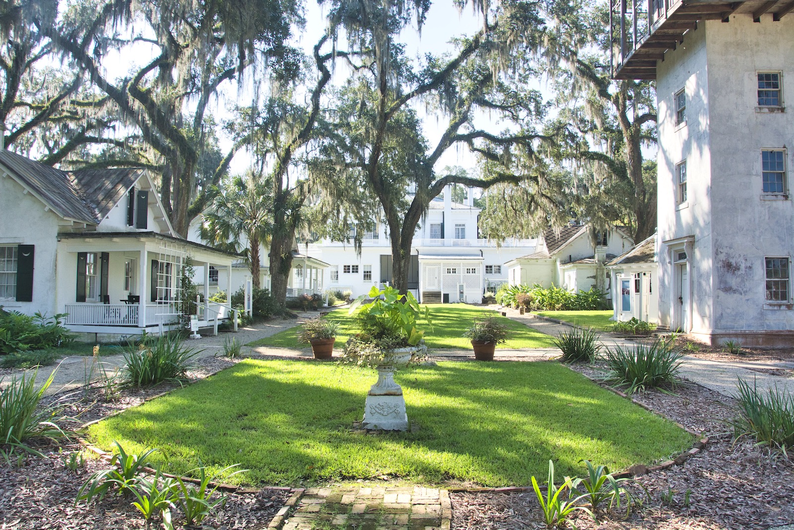 | Embracing the Art of Digital and Vintage Photography