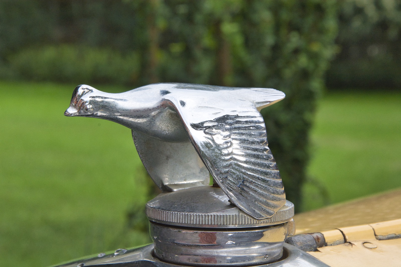 | Embracing the Art of Digital and Vintage Photography