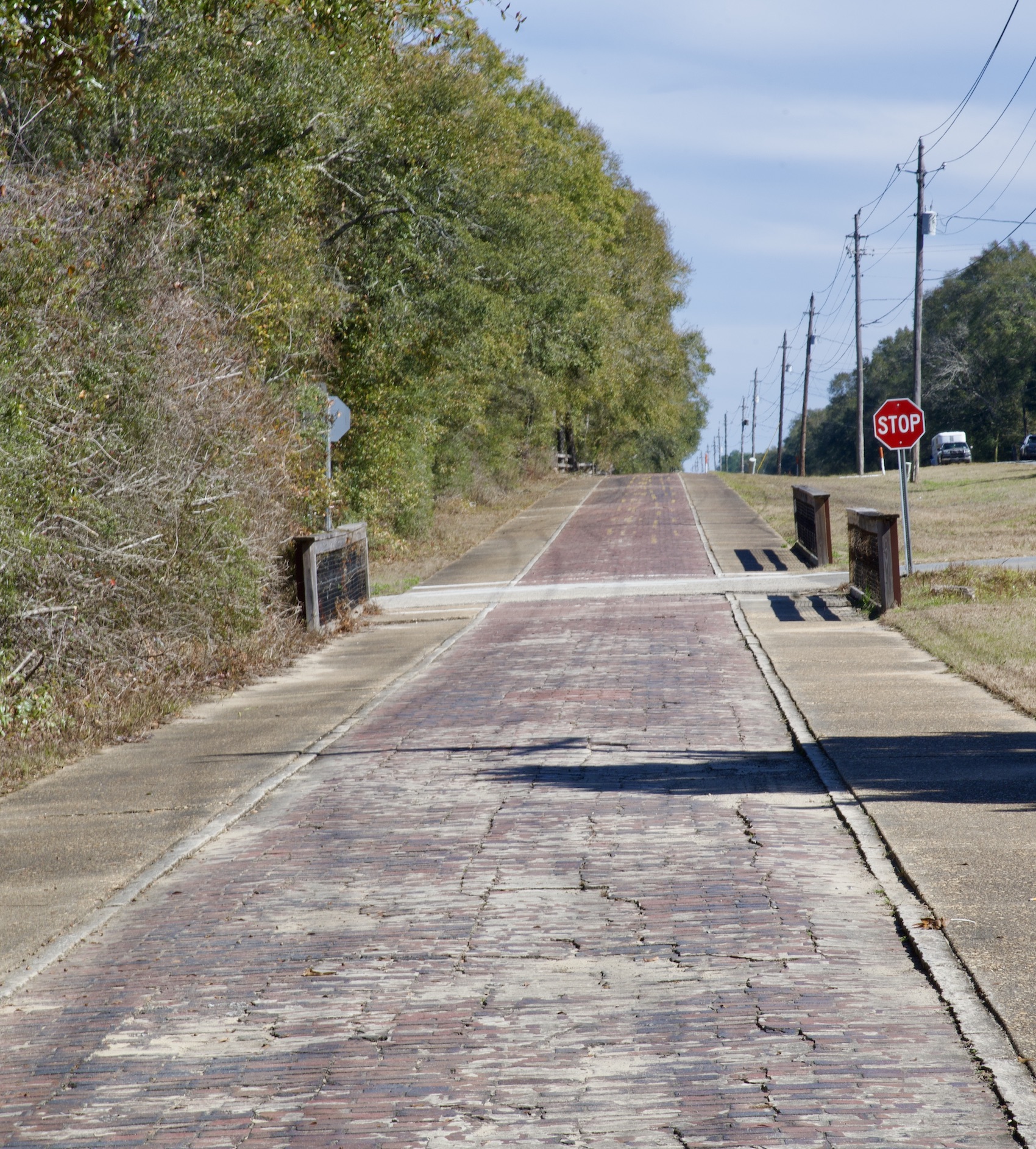 | Embracing the Art of Digital and Vintage Photography