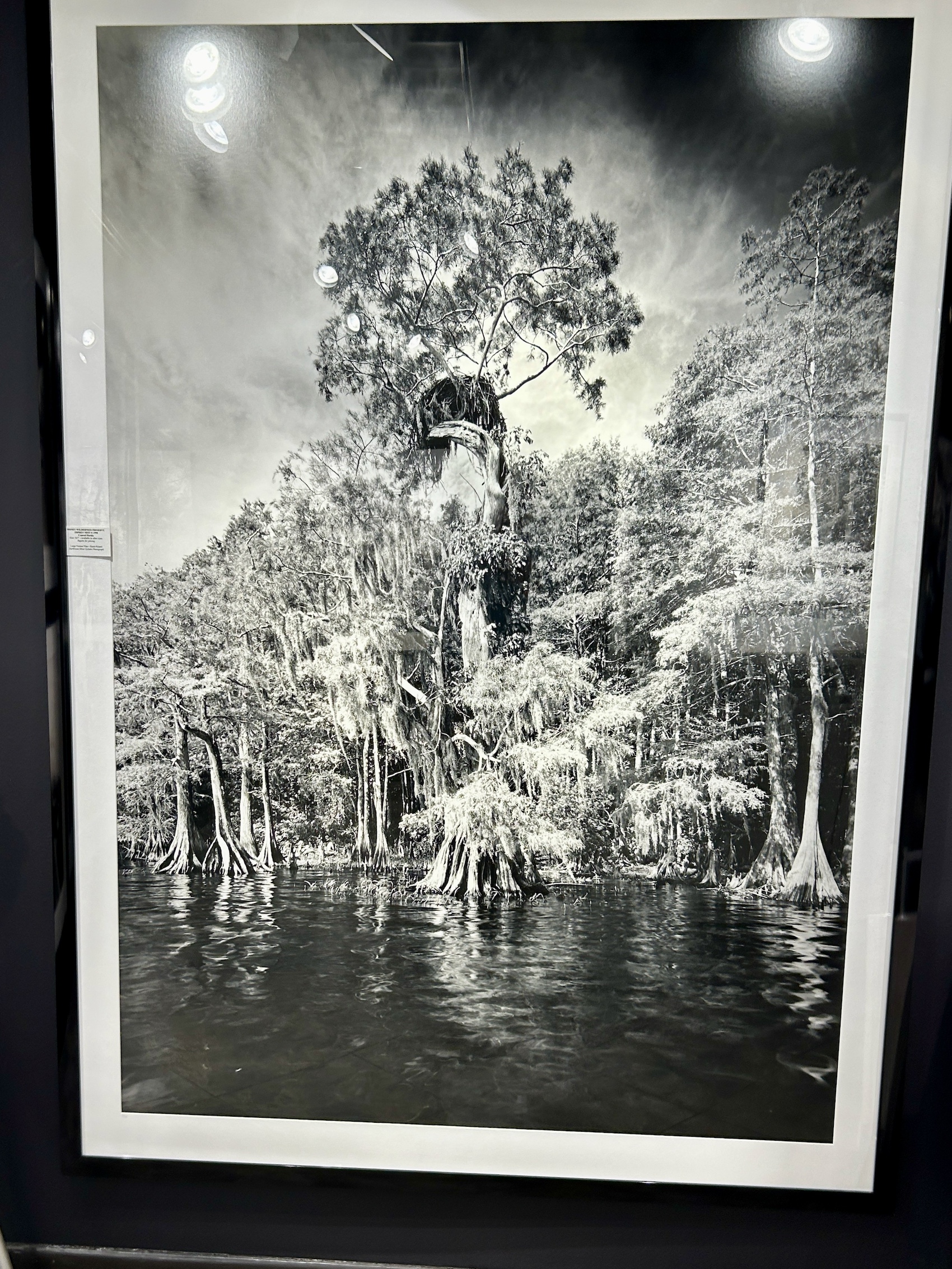 Behind the Scenes: Clyde Butcher’s Venice Gallery – Tim Jeffers Photography